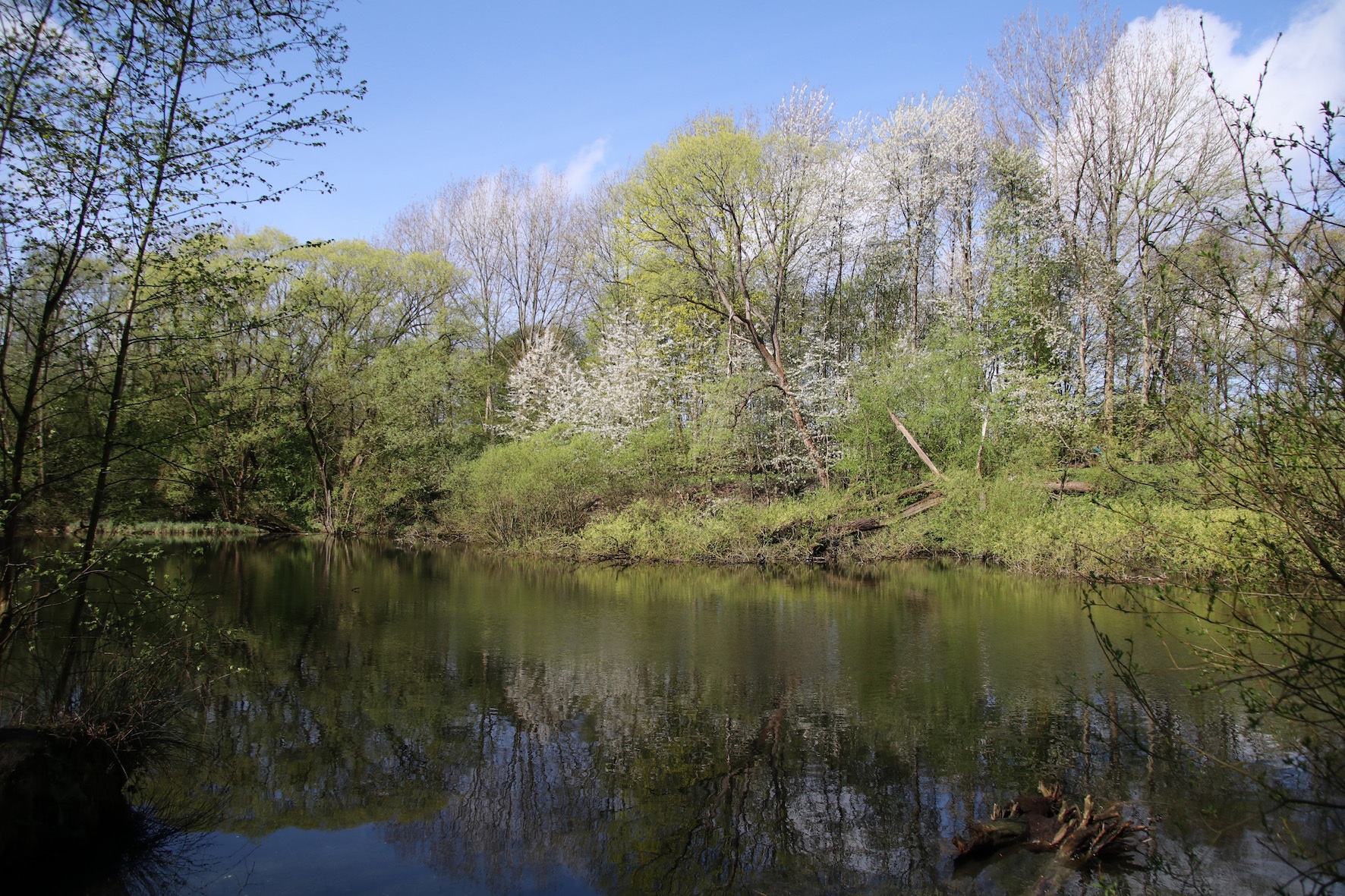 Homepage - Belgian Biodiversity Alliance